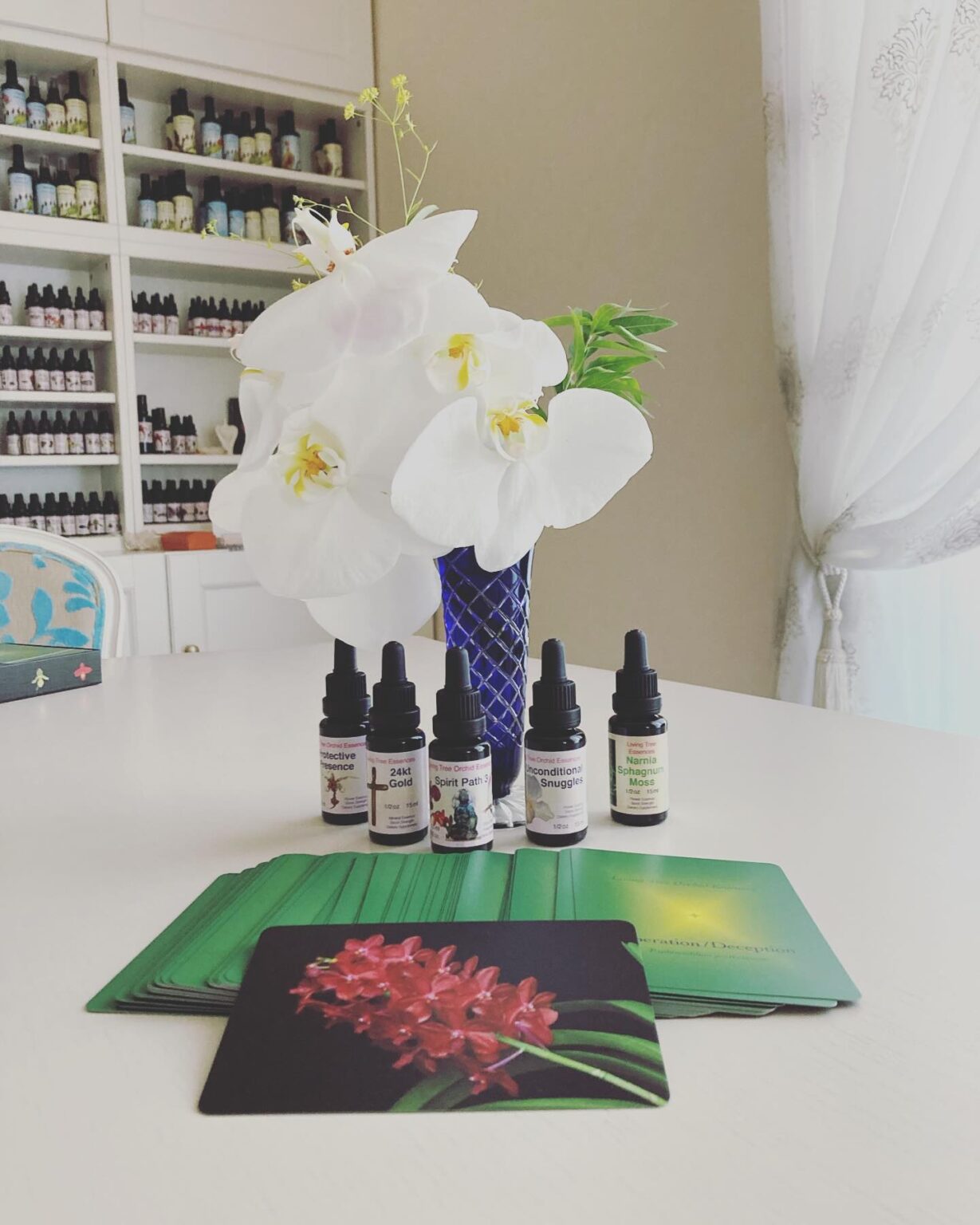 Orchid Notes（オーキッドノート） | リビングトゥリーオーキッドエッセンスのブログ