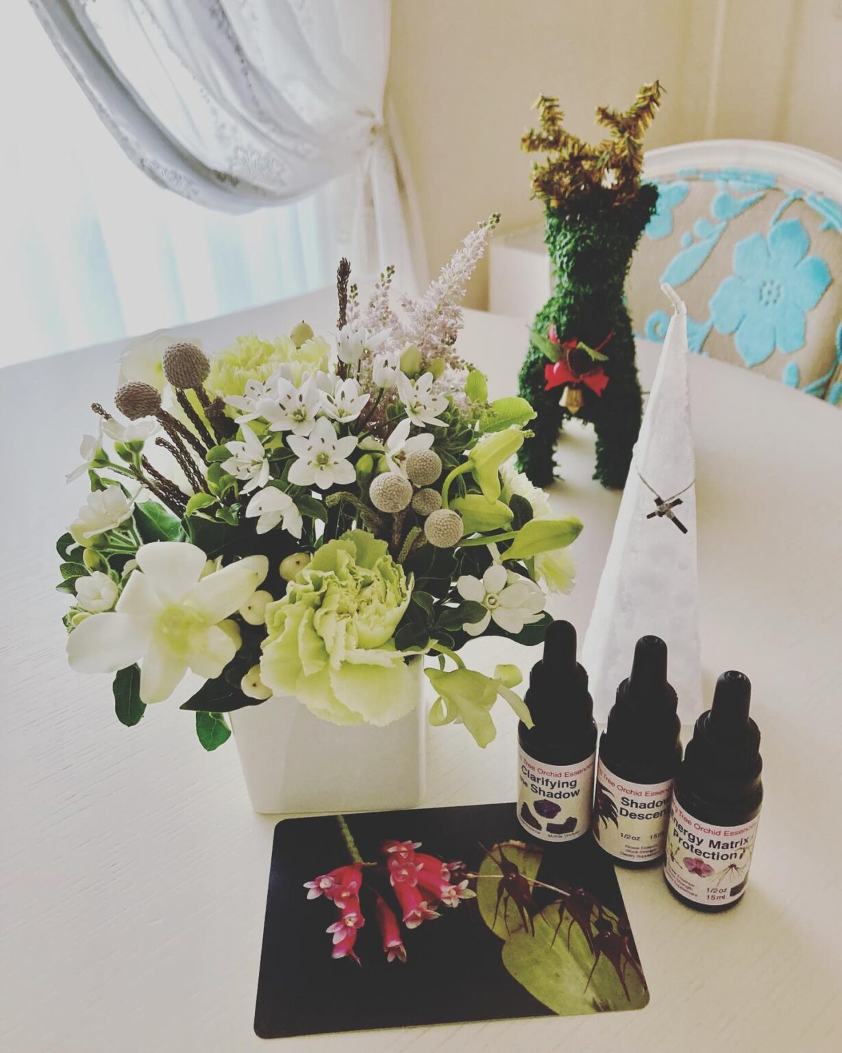 Orchid Notes（オーキッドノート） | リビングトゥリーオーキッドエッセンスのブログ