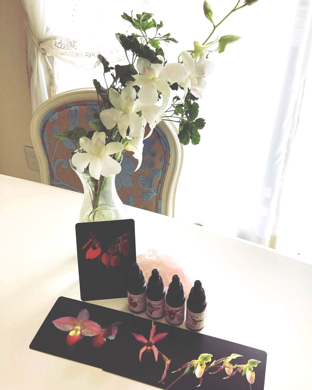 Orchid Notes（オーキッドノート） | リビングトゥリーオーキッドエッセンスのブログ